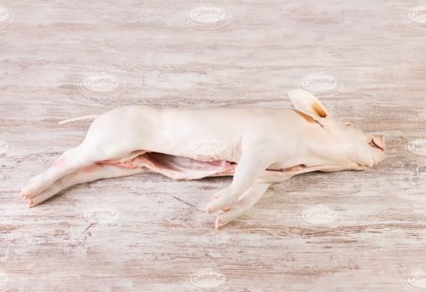 Lechón. ¿Es lo mismo que un cochinillo? ¿Son mejores los de Segovia?